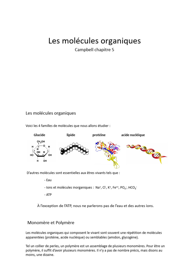 Les familles de molécules organiques | PDF | Phospholipide | Adénosine ...