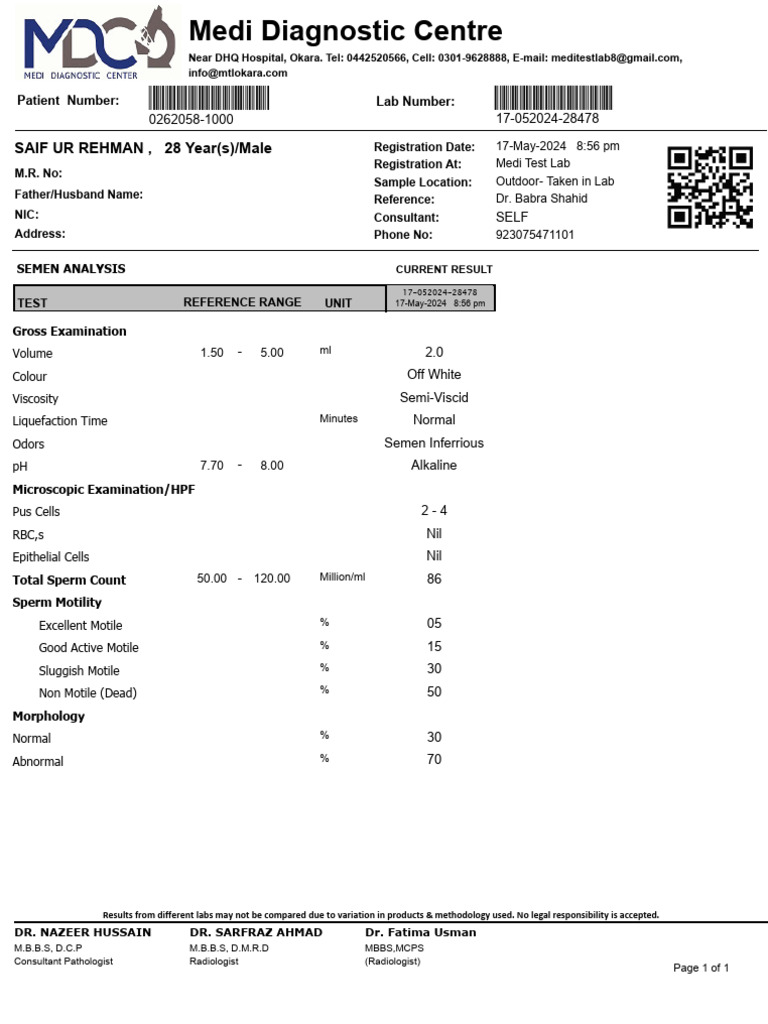 Normal Test Report | PDF | Sexual Health | Male Mammals