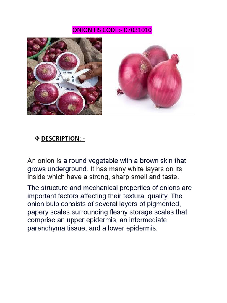 Sample Reserch Report Onion | PDF | Onion | Glutathione