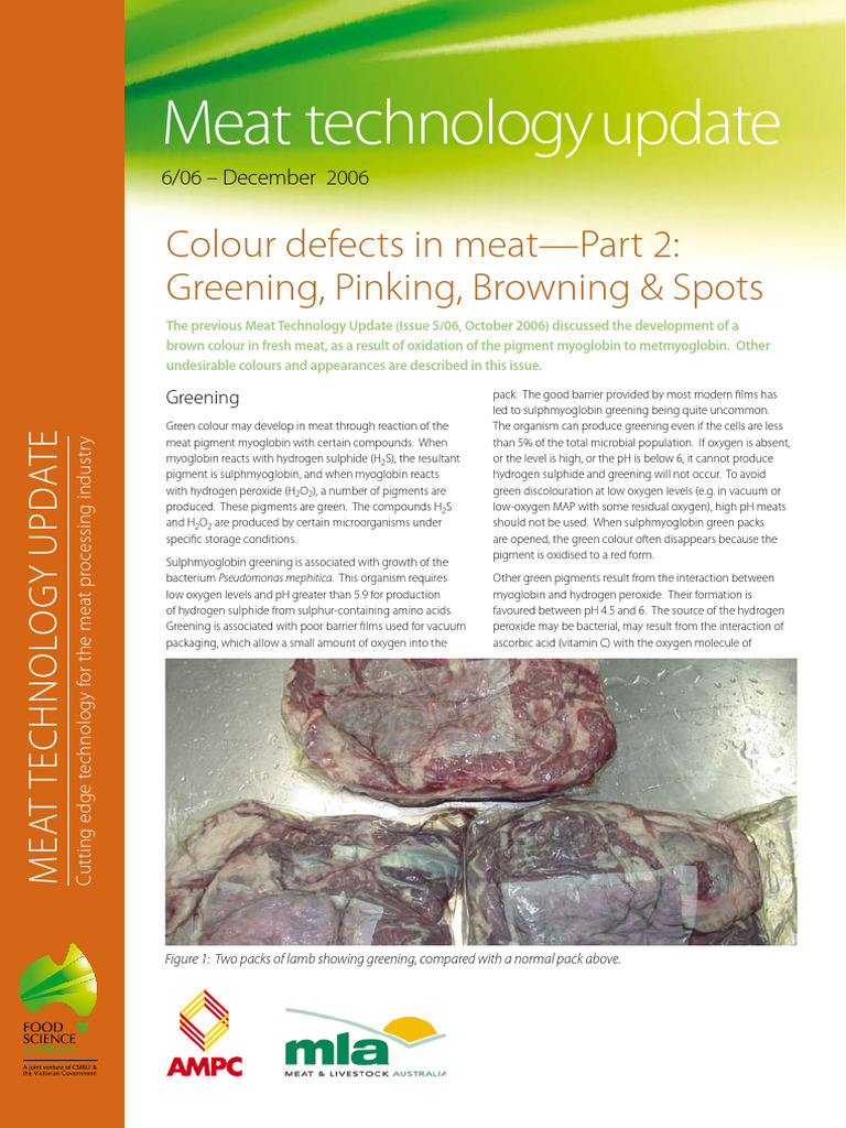 Meat - Technology - Color Defects | PDF | Hydrogen Peroxide | Meat