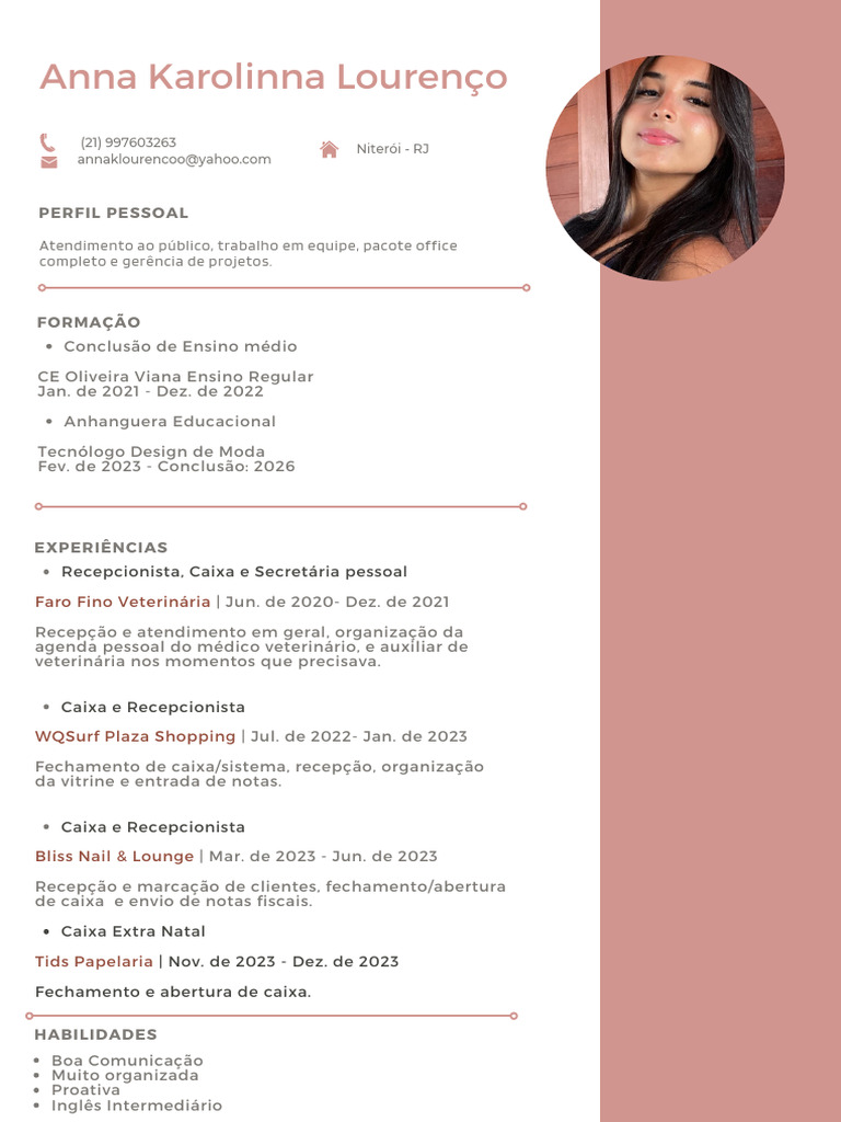 Curriculo novo adm Anna | PDF