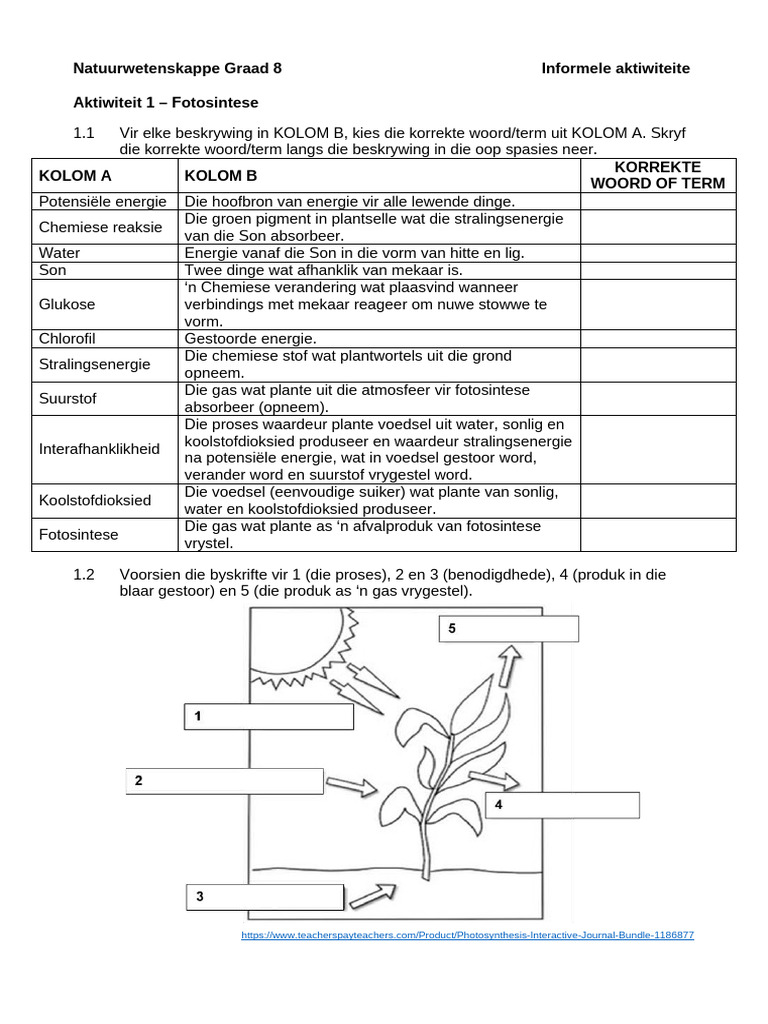 NW Gr8 Informele Aktiwiteite Fotosintese Respirasie 1613910872 | PDF