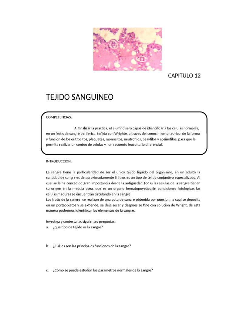 TEJIDO SANGUINEO | PDF | Sangre | Leucocito