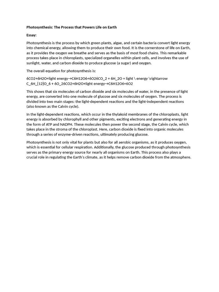 Understanding Photosynthesis Process | PDF