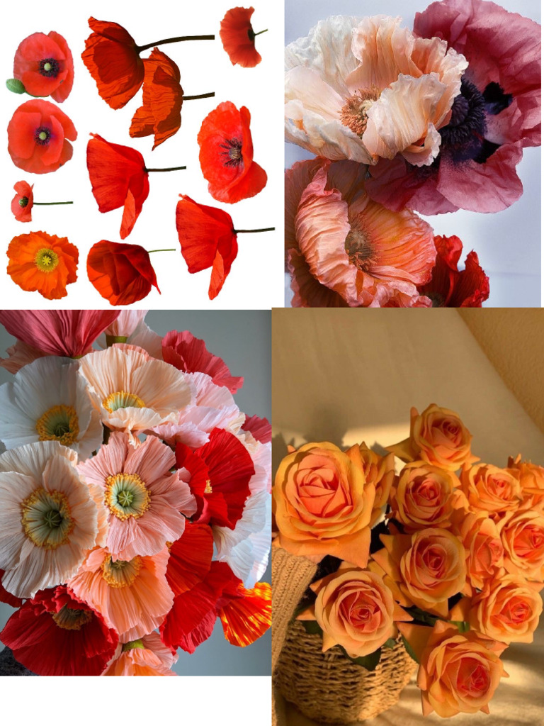 Flowers and Models | PDF