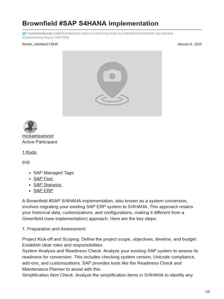SAP Brownfield SAP S4HANA Implementation | PDF | Software Testing ...