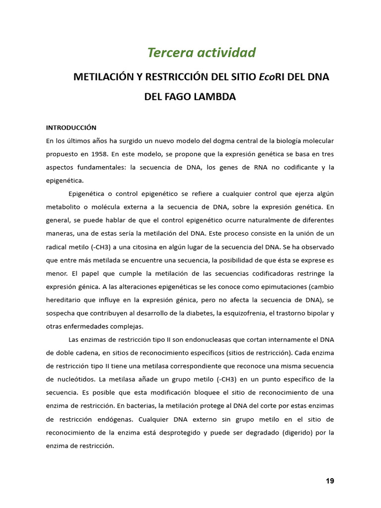 Tercera Actividad. Metilación y Restricción Del Sitio EcoRI Del DNA Del Fago LAMBDA. | PDF ...