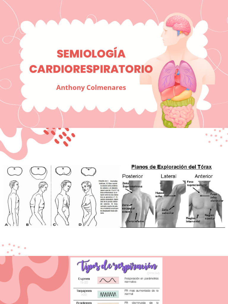 Semiología cardiorespiratorio_20241109_164741_0000 | PDF