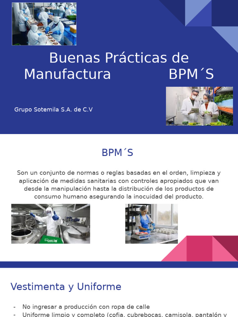 Buenas Prácticas de Manufactura BPM S | PDF