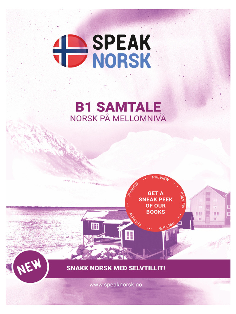 B1 Samtale Preview | PDF