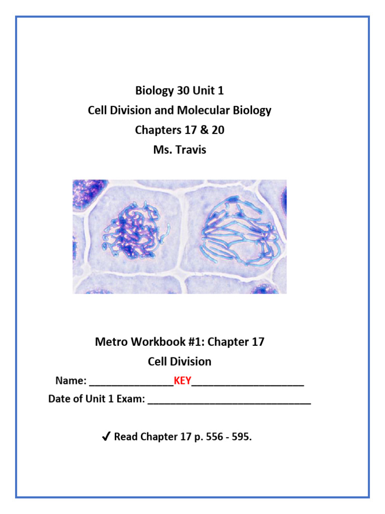Cell Division and Molecular Biology Guide | PDF | Meiosis | Mitosis