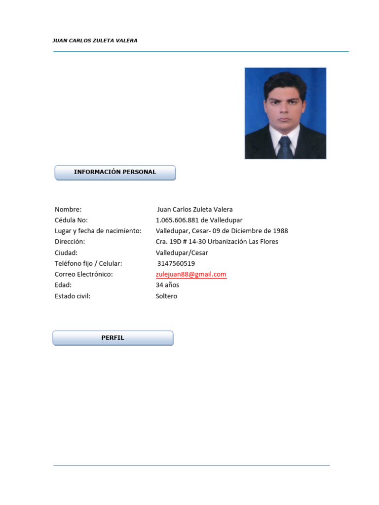 Curriculum Vitae 2024 | PDF