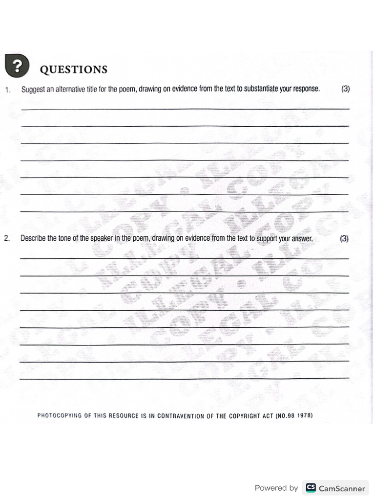 Strangers Forever Questions | PDF