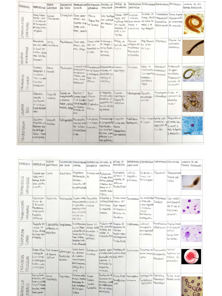 Tabla Micro | PDF