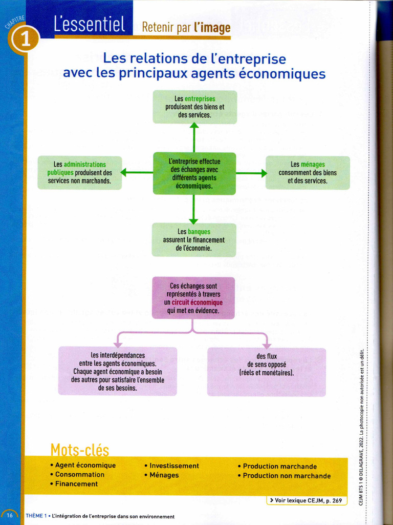 CEJM - THEME 1 - ECO - Mind map | PDF