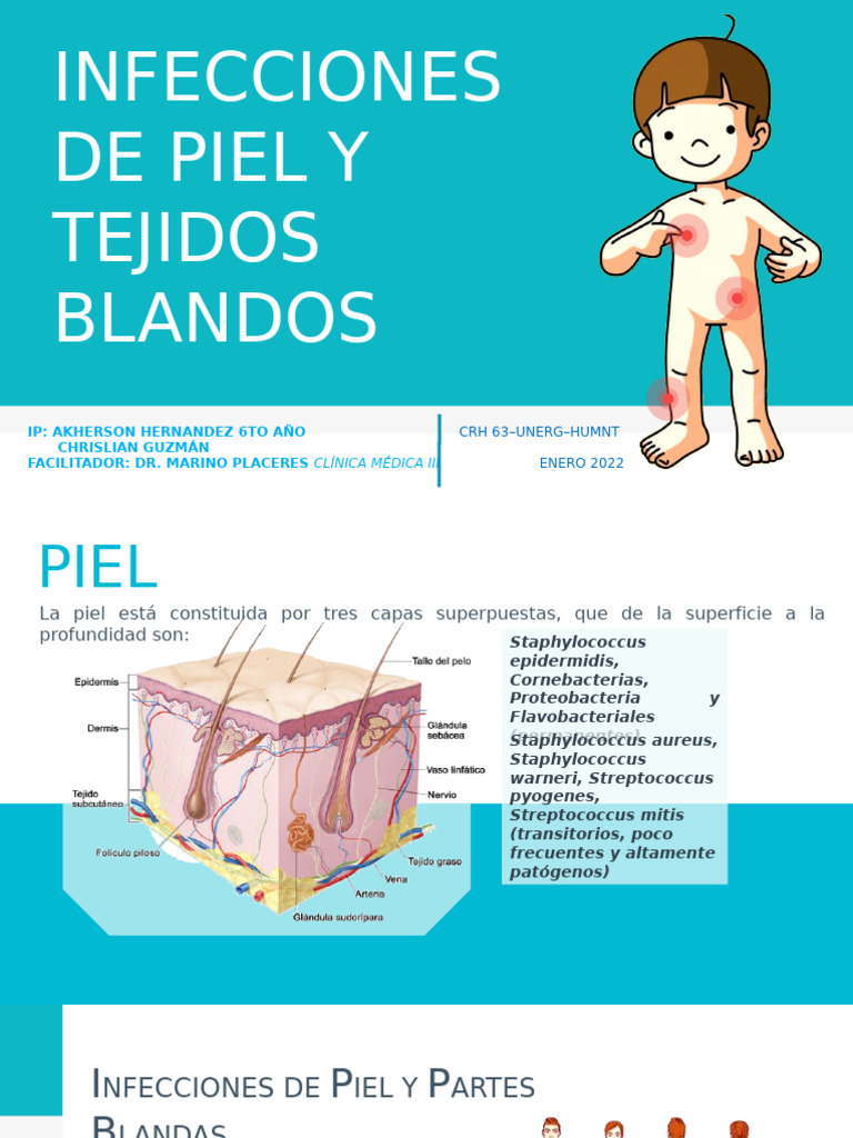Infecciones de Piel y Tejidos Blandos | PDF | Enfermedades y trastornos humanos | Medicina CLINICA