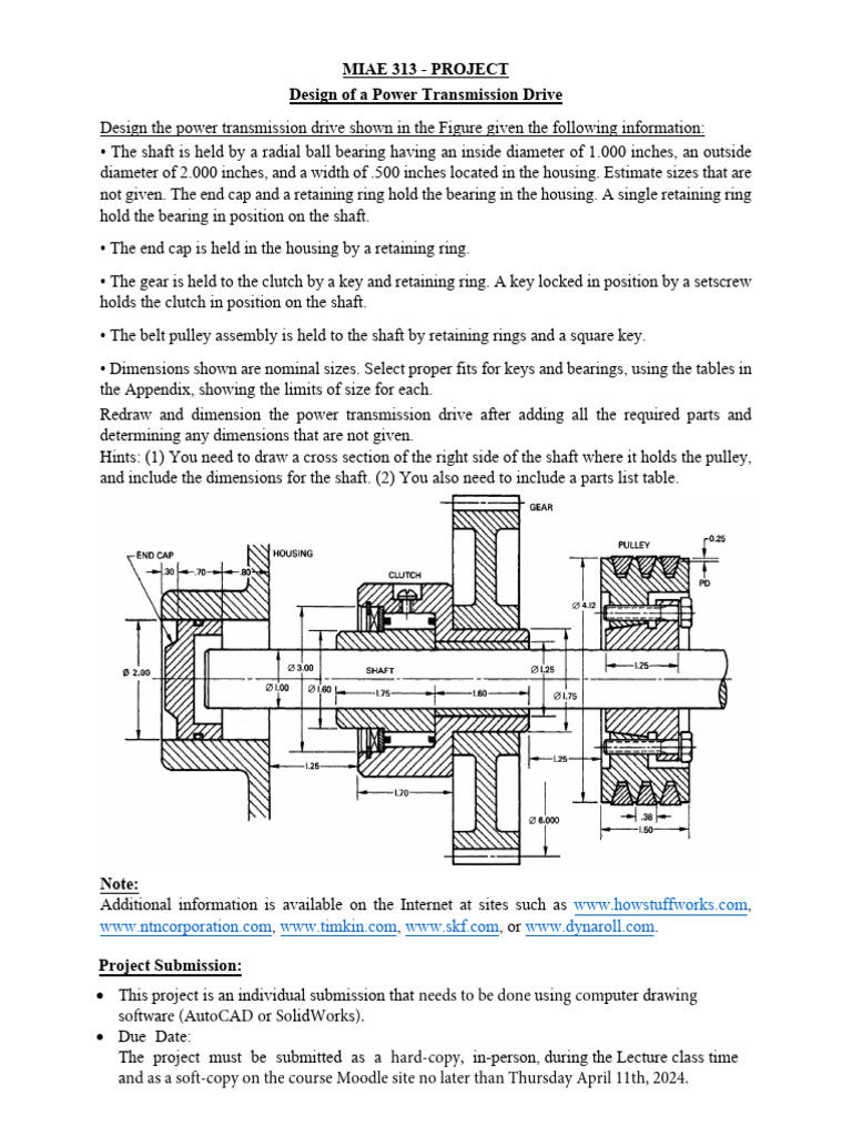MIAE 313 - Project (2024) | PDF