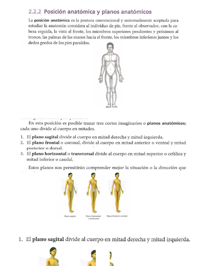 Teoria_Planos y Cavidadess | PDF