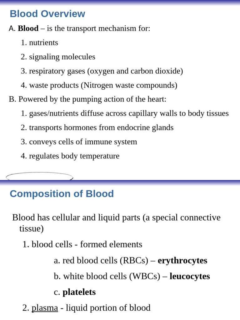 Blood Composition and Functions | PDF | Granulocyte | White Blood Cell
