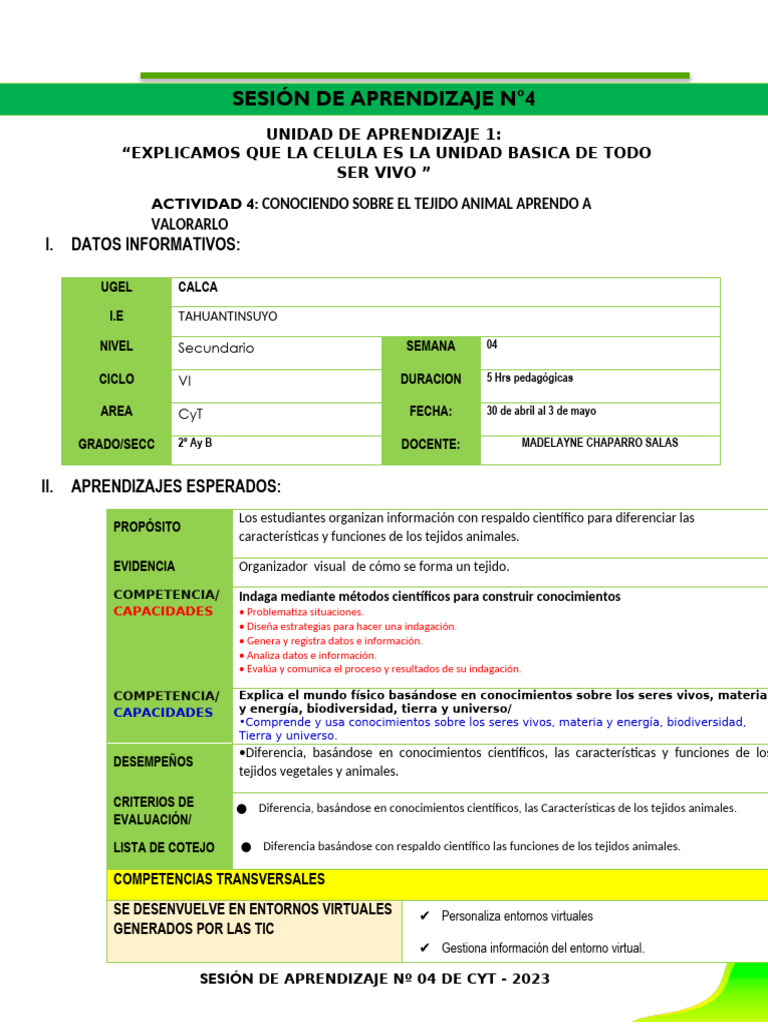 D2º Ses-Act 4-Cyt U1 | PDF | Músculo | Aprendizaje