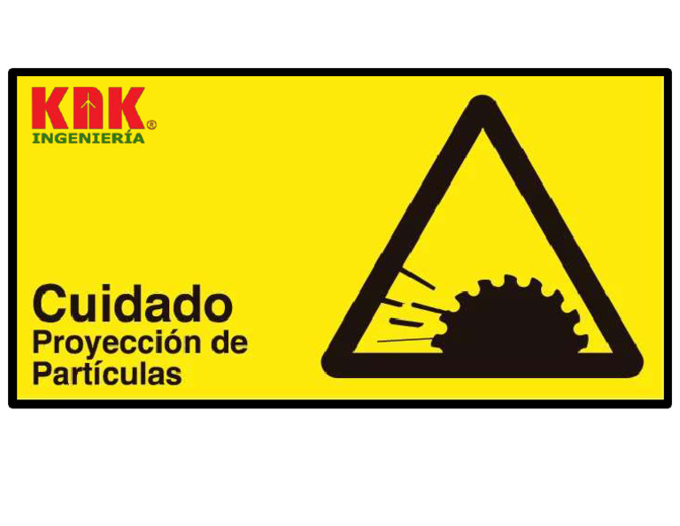 proyeccion particulas | PDF