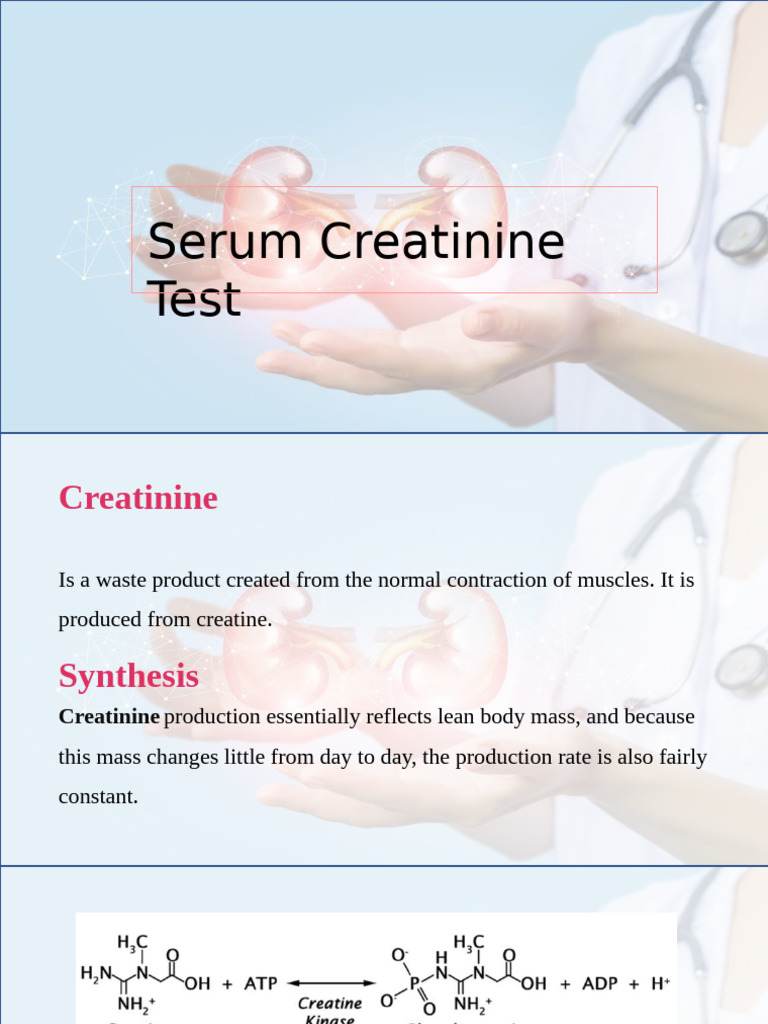 Serum Creatinine Test | PDF