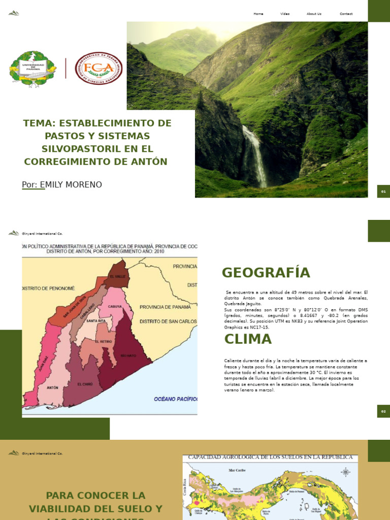 Green Modern Nature Presentation | PDF