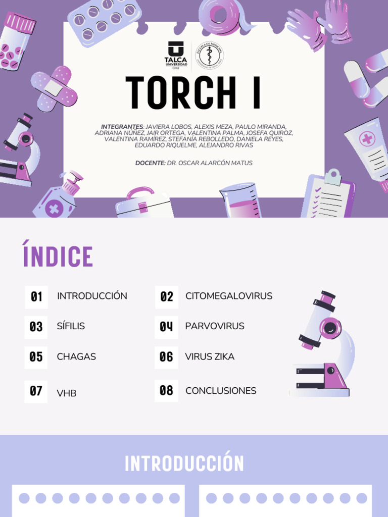 Infecciones TORCH y su impacto fetal | PDF | Hepatitis | El embarazo
