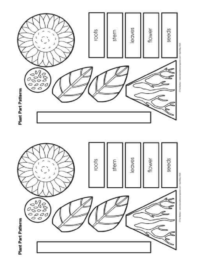 Parts of Plant Craft | PDF