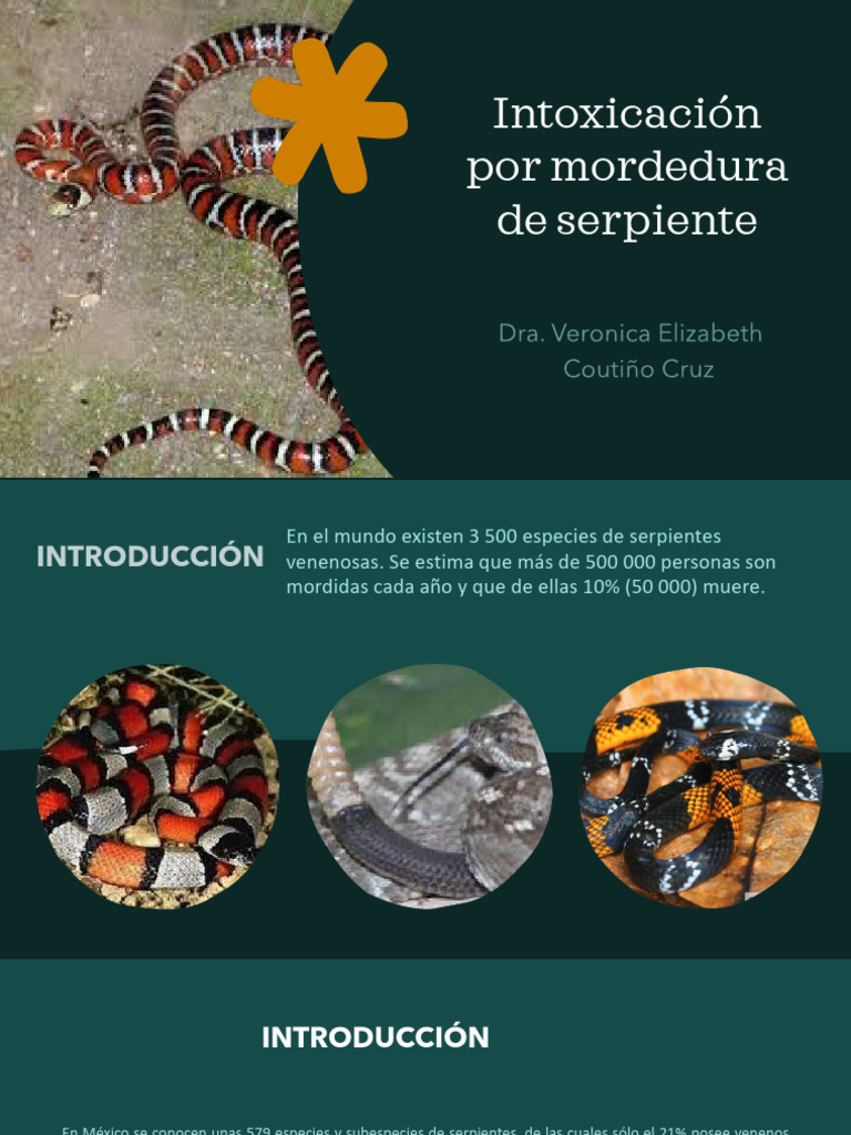 Intoxicación por mordedura de serpiente | PDF | Serpiente ...
