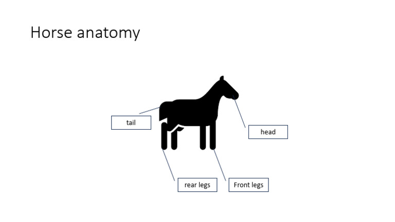 Horse Anatomy | PDF