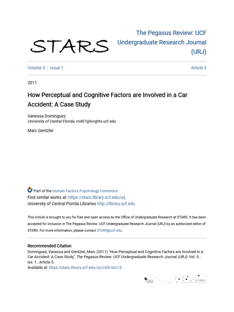 How Perceptual Cognitive Factors Are Involved - Car Accident | PDF ...