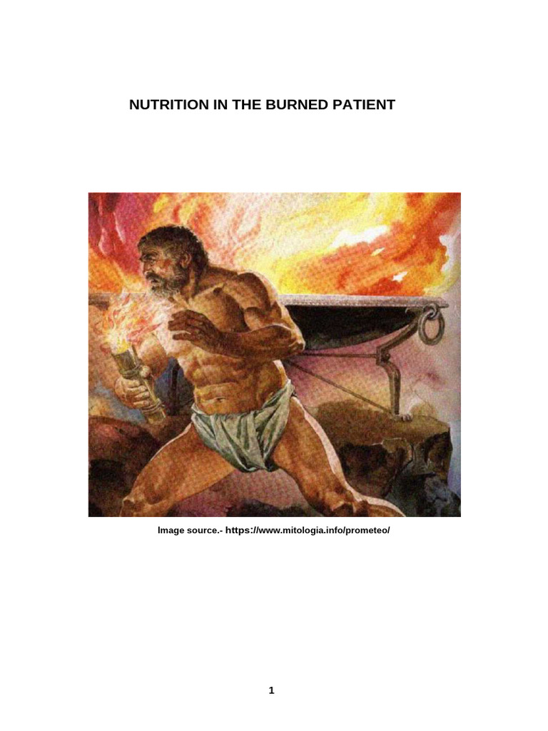 Nutritional Needs for Burn Patients | PDF | Burn | Nutrition
