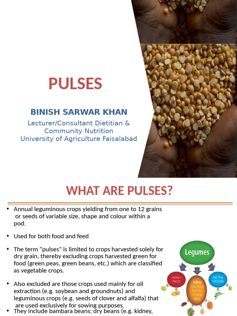 Pulses | PDF | Legume | Bean