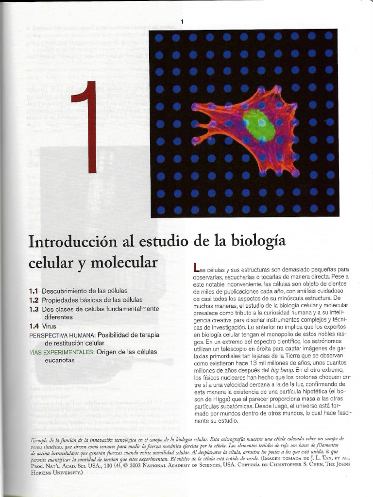 Cap.1 Introducción Al Estudio de La Biología Celular y Molecular-1 | PDF