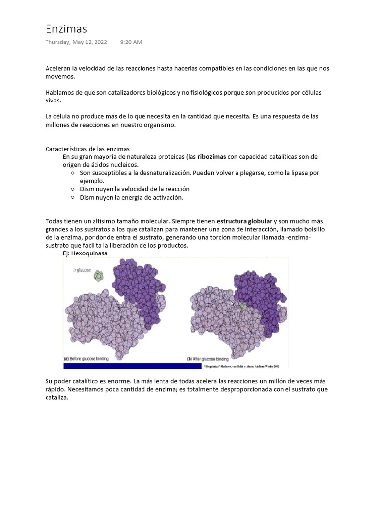 Características y Funciones de las Enzimas | PDF | Cofactor (Bioquímica ...