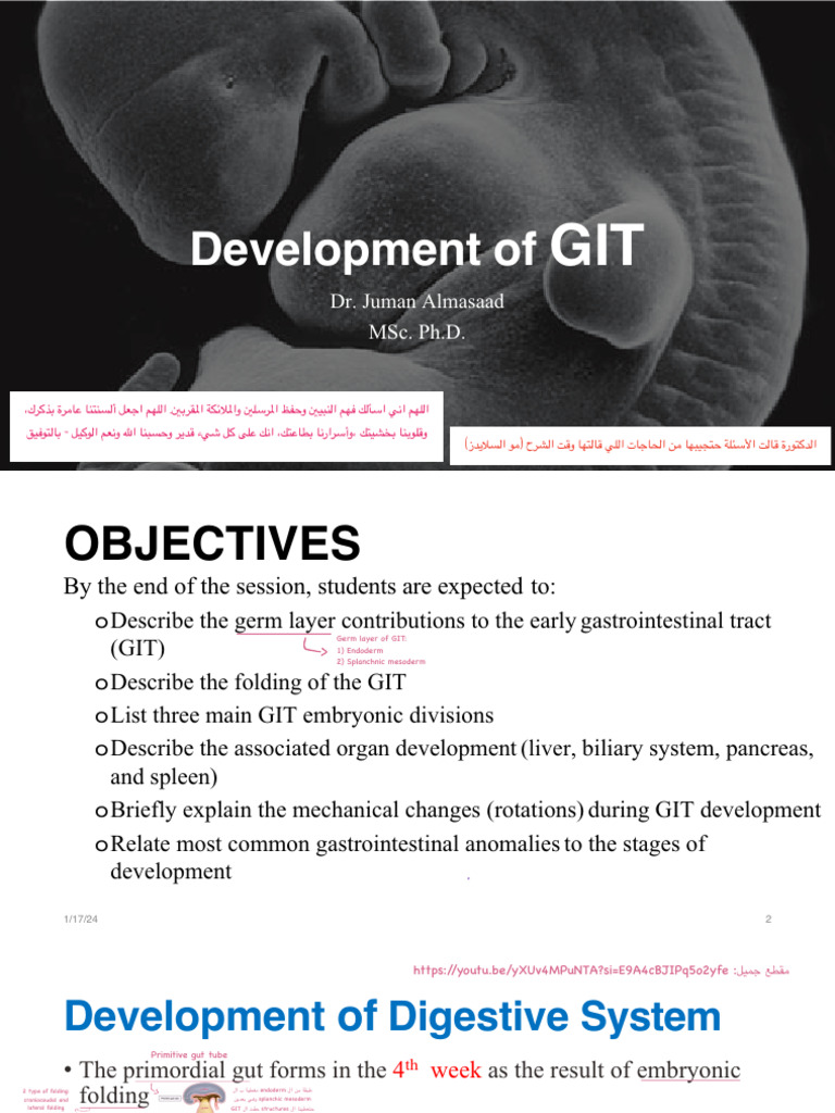 1.01 Development of GIT | PDF