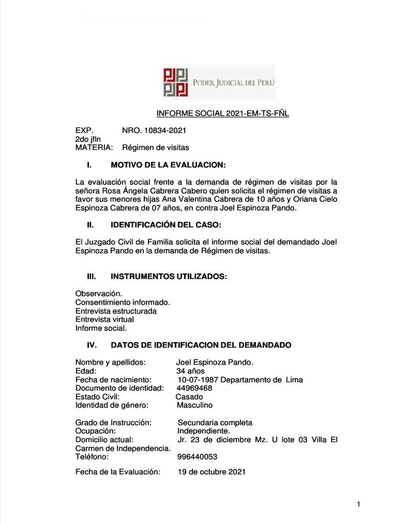 PDF Modelo de Informe Social Caso Regimen de Visitas Internacional ...