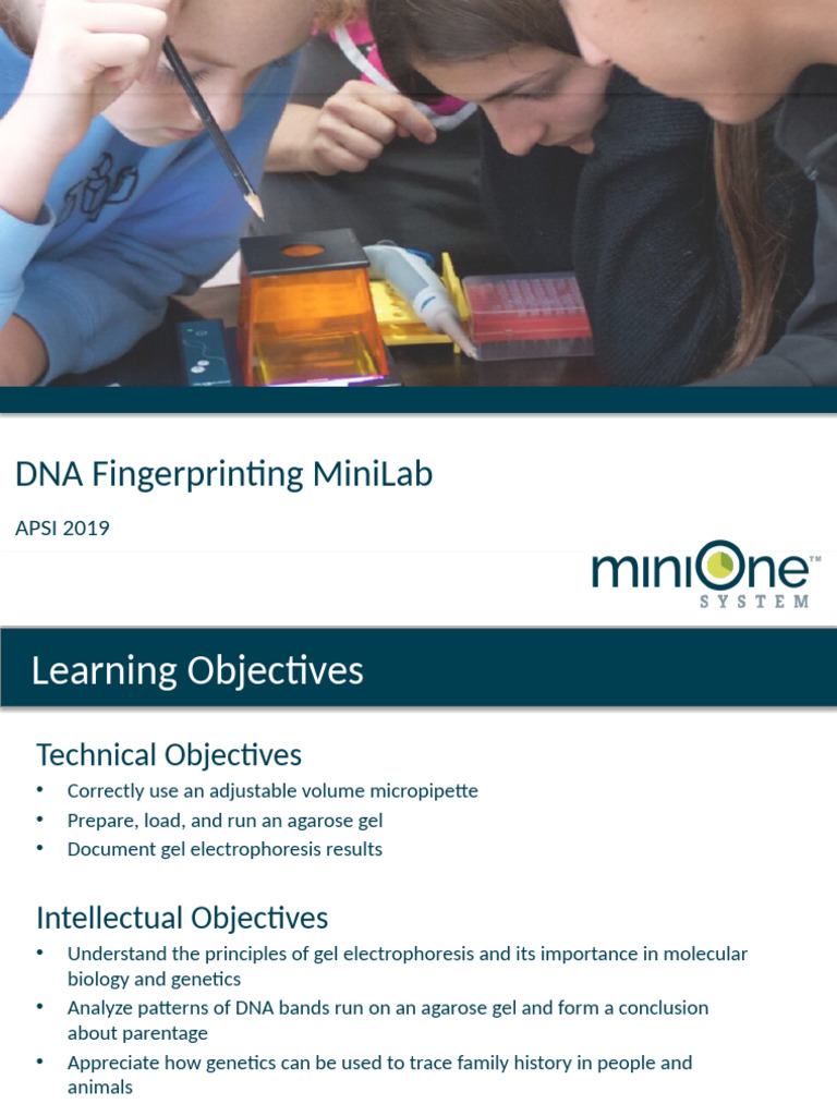 DNA Fingerprinting Lab for Genetics Education | PDF | Gel ...