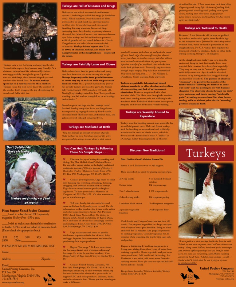 Turkeys | PDF | Chicken | Food And Drink