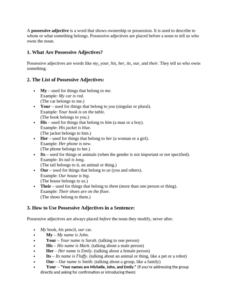Intro Possessive Adjectives | PDF