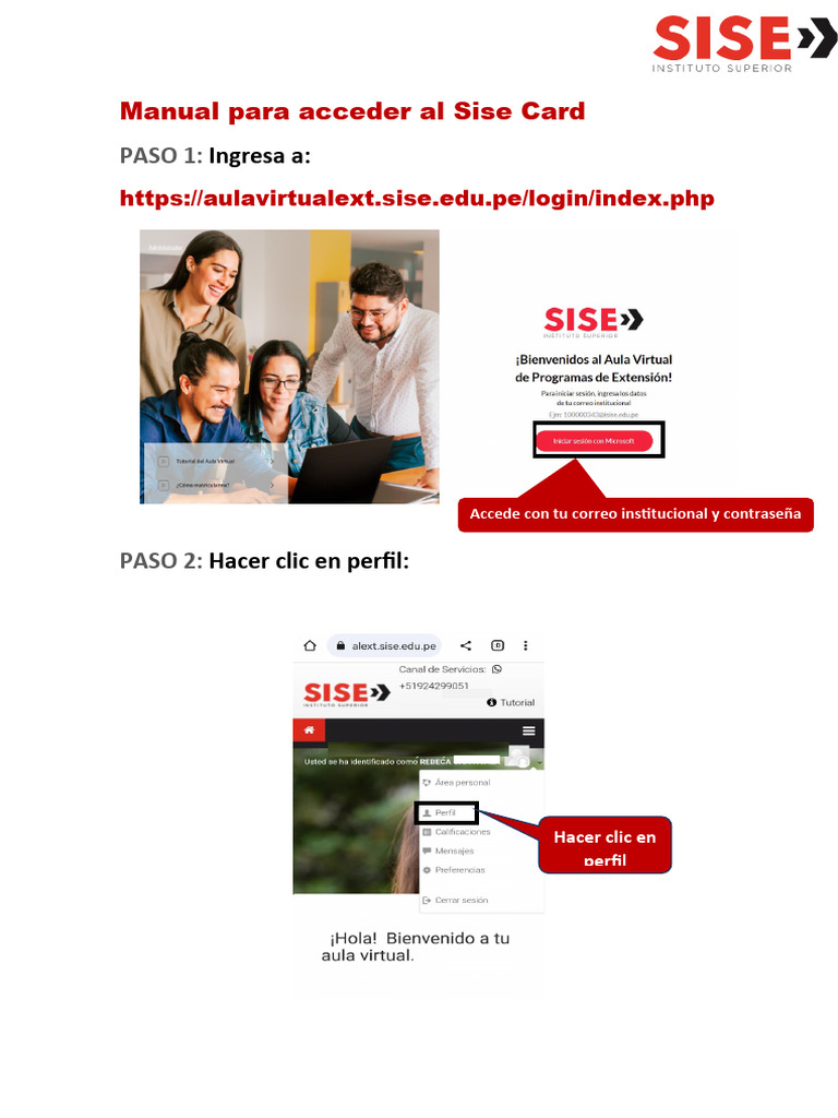 MANUAL SISE CARD (1) | PDF