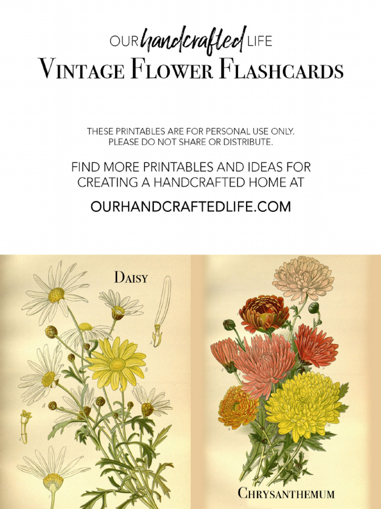 Flowers - Vintage Science Flash Cards - Our Handcrafted Life (1) | PDF