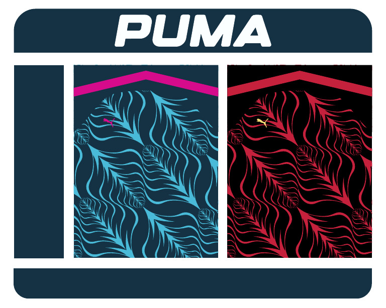 Jersey Puma Concept | PDF