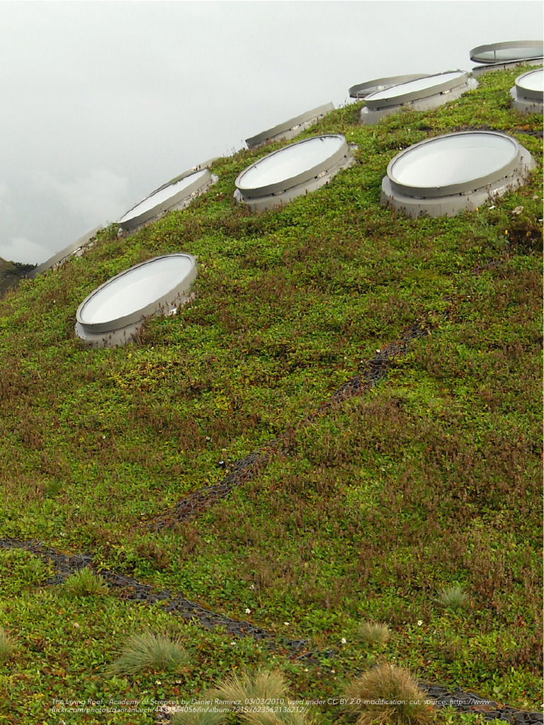Green Roof Integration in Sustainable Housing | PDF | Roof | Soil