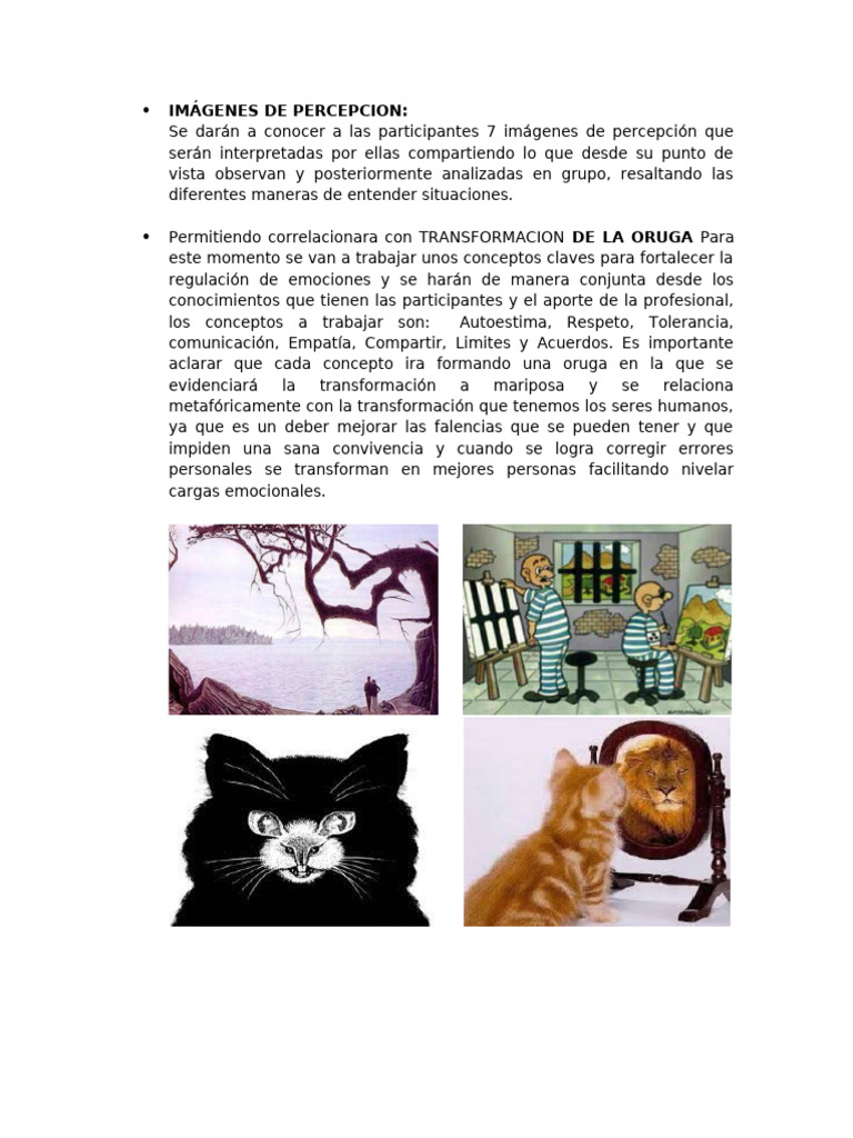 Transformación Emocional y Percepción | PDF
