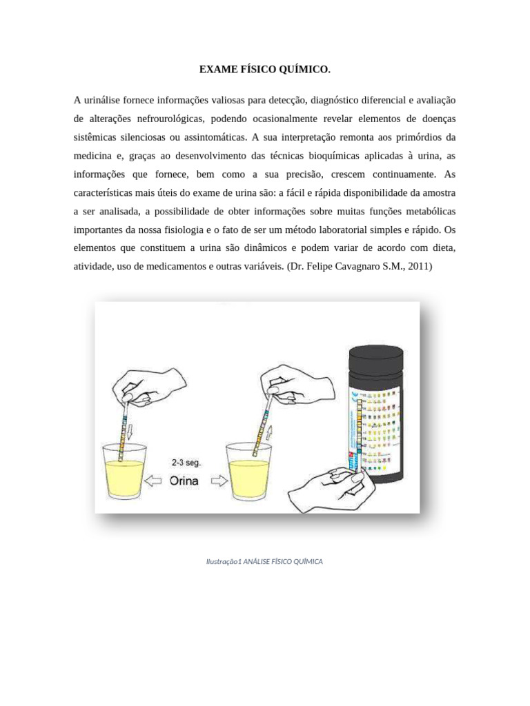 Análise Química da Urina | PDF | Química | Ph