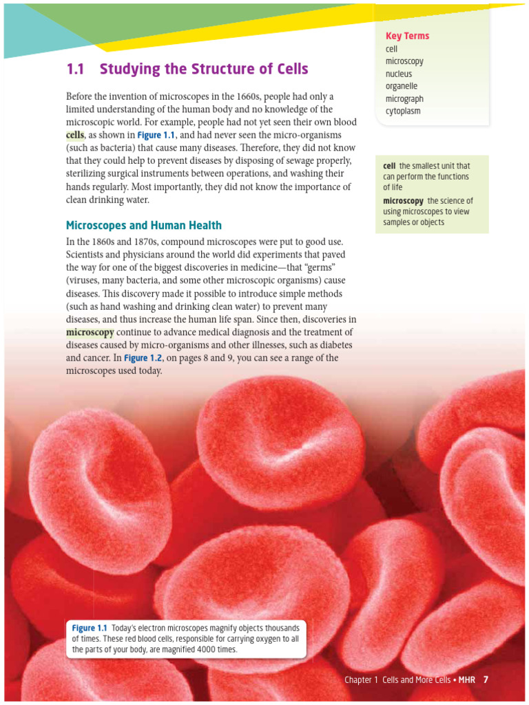 ONS10_se_Ch01_sec1_1_page7to15 | PDF | Cell (Biology) | Microscope