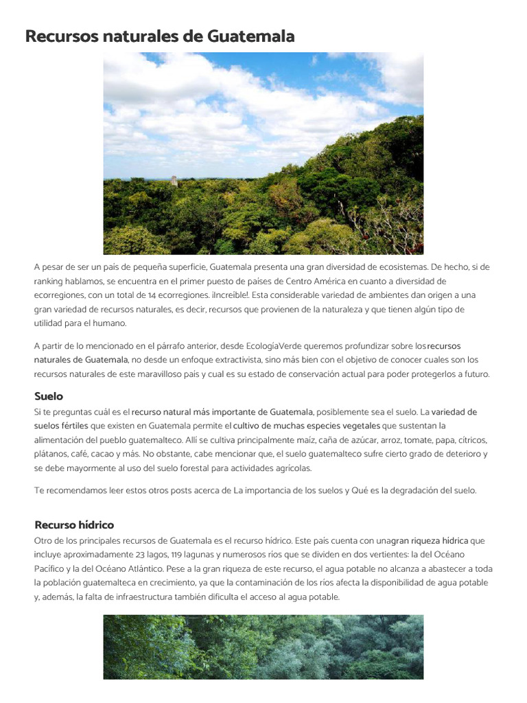 Recursos Naturales de Guatemala | PDF | Los bosques | Minería