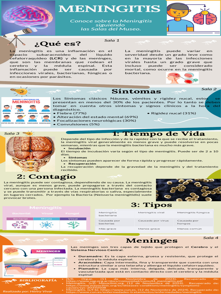 Infografía Meningitis | PDF | Meningitis | Sistema nervioso central